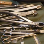 Everything You Need to Know About Bonsai Tree Pots (Literally!)