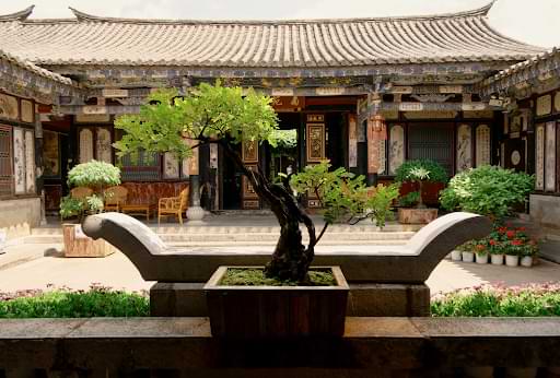 How to Pick the Right Location for Your Bonsai to Grow