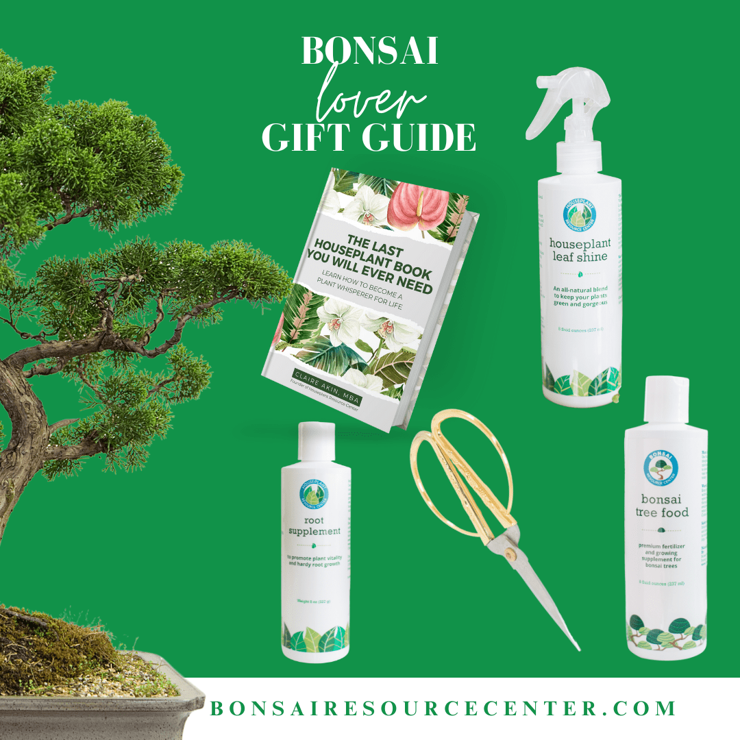 The Perfect Bonsai Gifts For Any Occasion